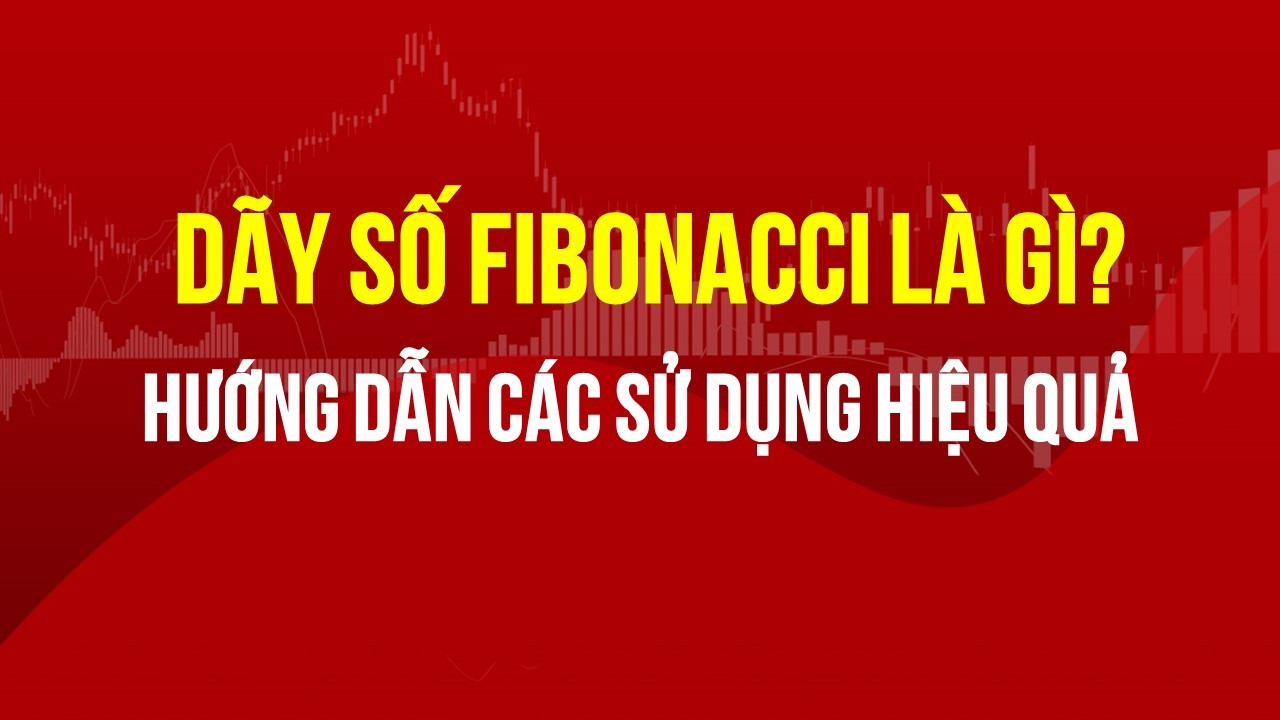 Dãy số Fibonacci là gì? Hướng dẫn cách sử dụng hiệu quả - Tesef.net